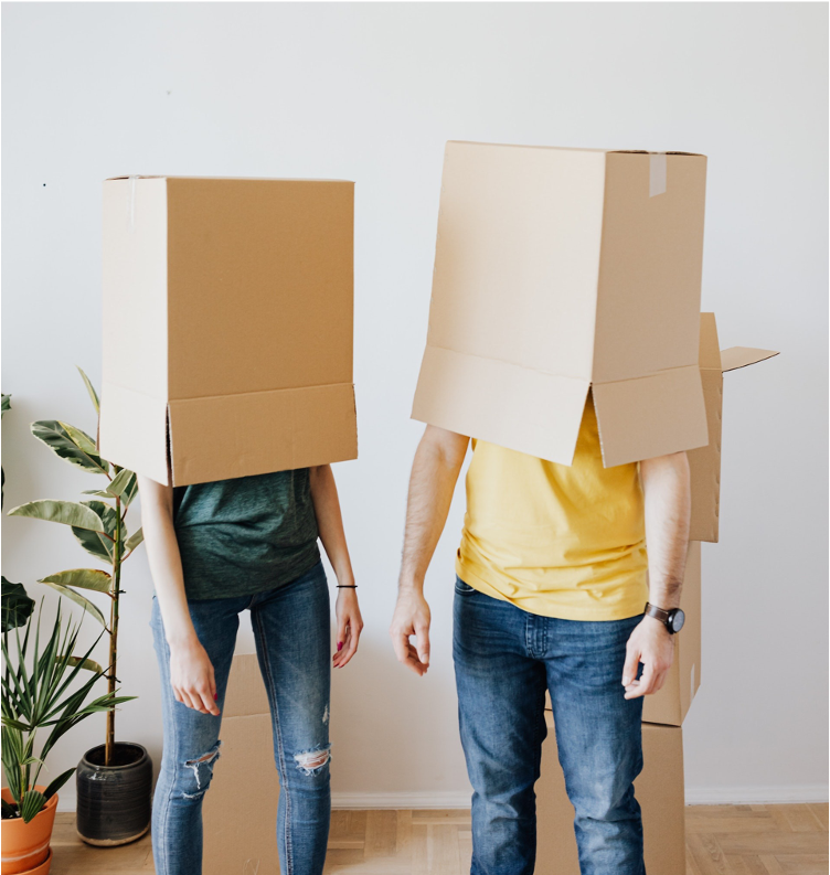 BLOG: Know the out-of-box, and Have More Choices | SOPHOLA, Inc
